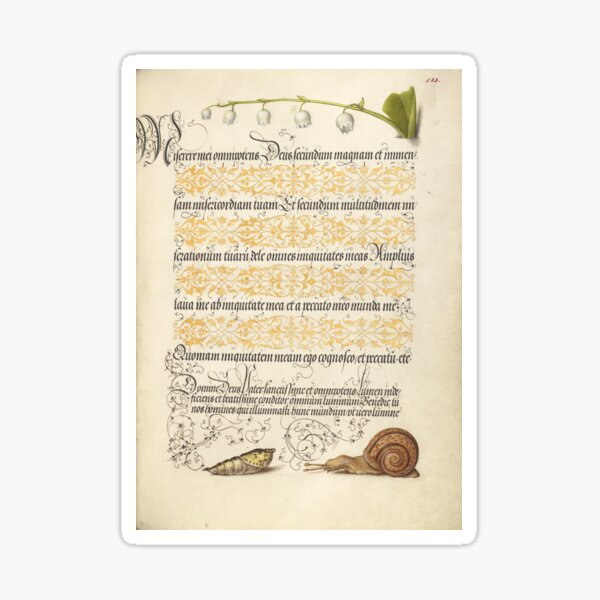 "Flower and Snail (1561-1596) - Medieval Illuminated Manuscript ...