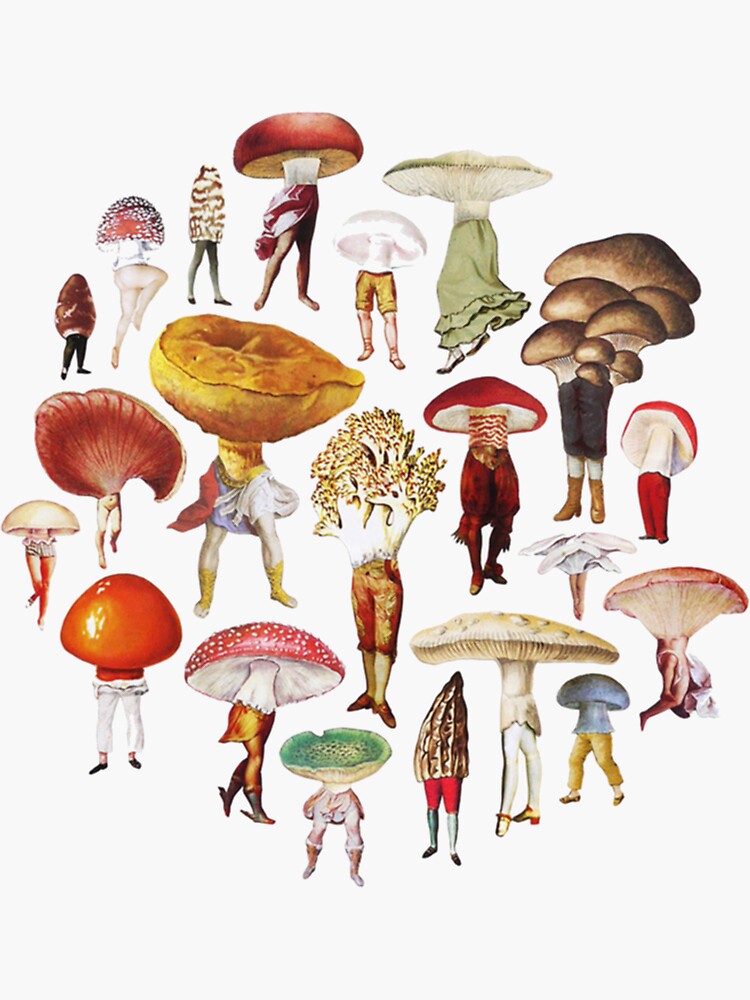 Cute Sexy Mushroom Art Sticker For Sale By Esdeedesignss Redbubble