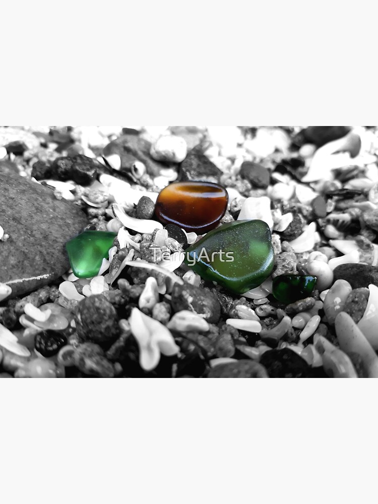 "Beach Glass Green and Brown on Black and White Pebbles and Seashells ...