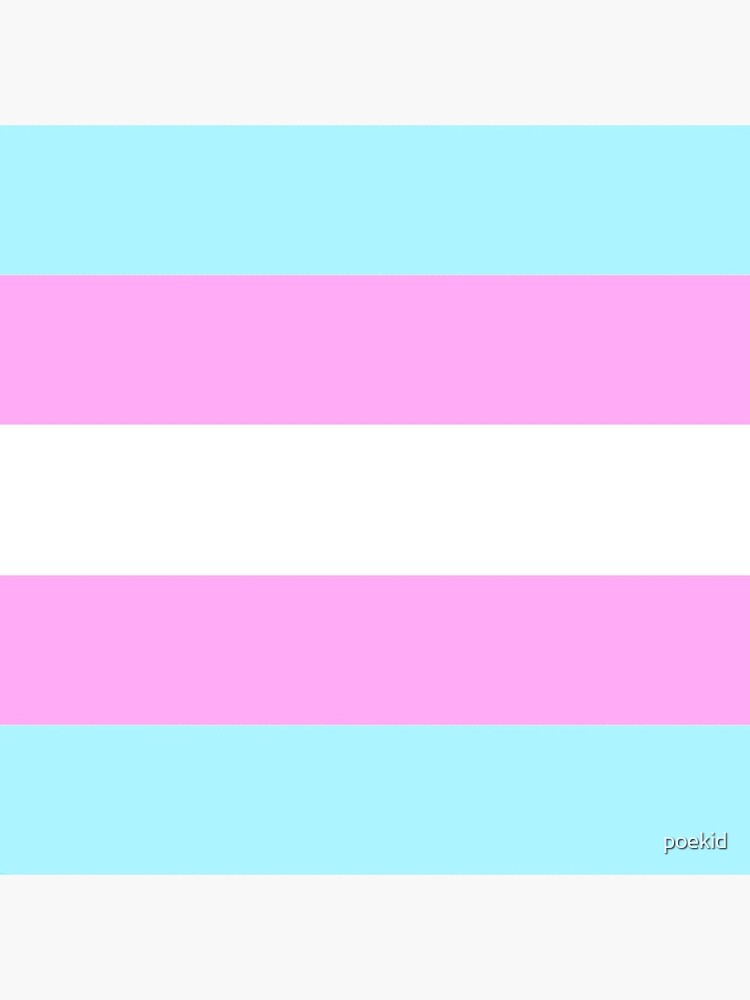 "pastel pride flag - transgender" Canvas Print by poekid | Redbubble