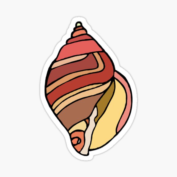 "Common Nutmeg Seashell " Sticker for Sale by flowerenee | Redbubble