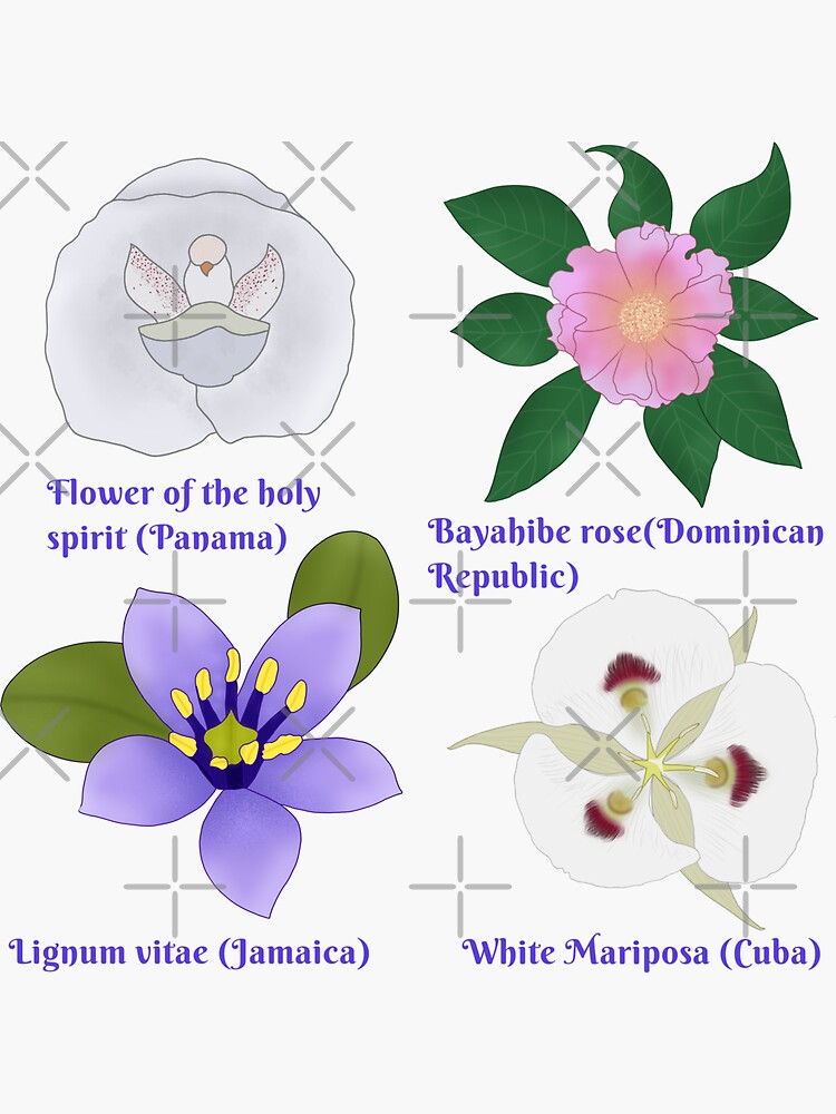 "NATIONAL FLOWER PACK-flower of the holy spirit(panama),Bayahibe rose ...