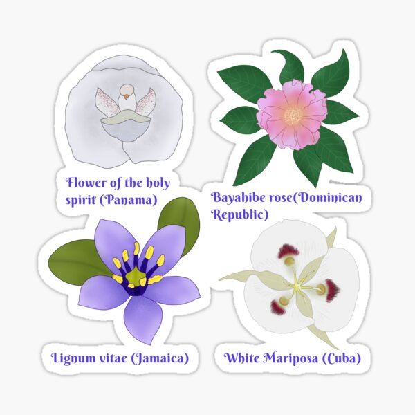 "NATIONAL FLOWER PACK-flower of the holy spirit(panama),Bayahibe rose ...