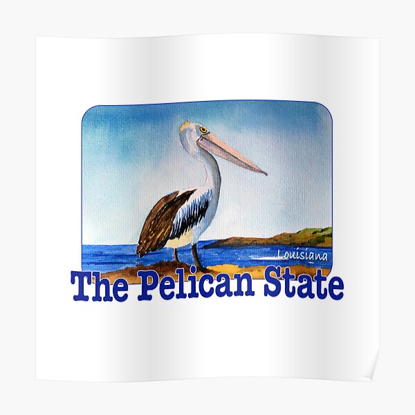 "Louisiana, The Pelican State" Poster for Sale by margaretbucklew ...