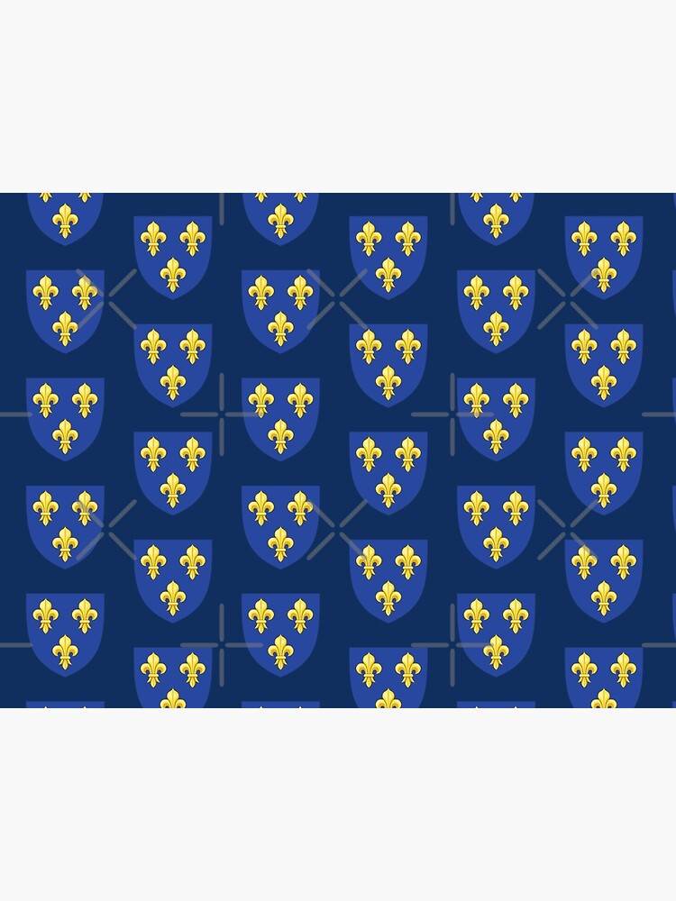 "Blason France moderne French royal golden yellow fleur de lys lis blue ...