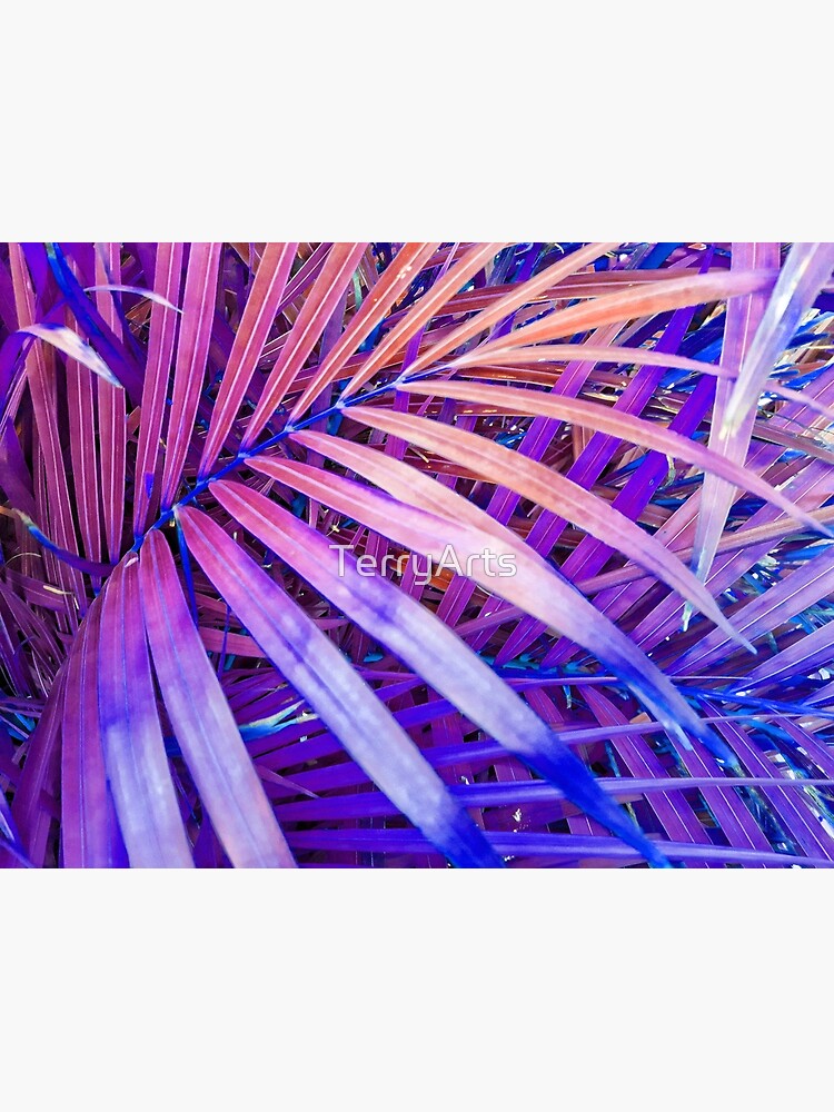 "Exotic Tropical Palm Leaves Tropicalcore Tropical Vacation Aesthetic 2 ...