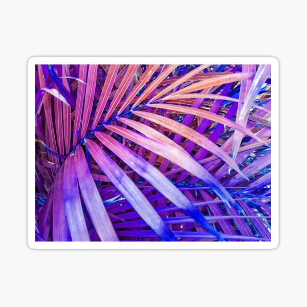 "Exotic Tropical Palm Leaves Tropicalcore Tropical Vacation Aesthetic 2 ...