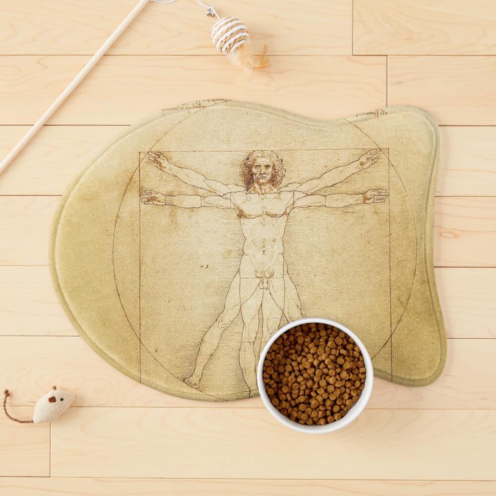 "Leonardo da Vinci Vintage sketch The Vitruvian Man The proportions of ...