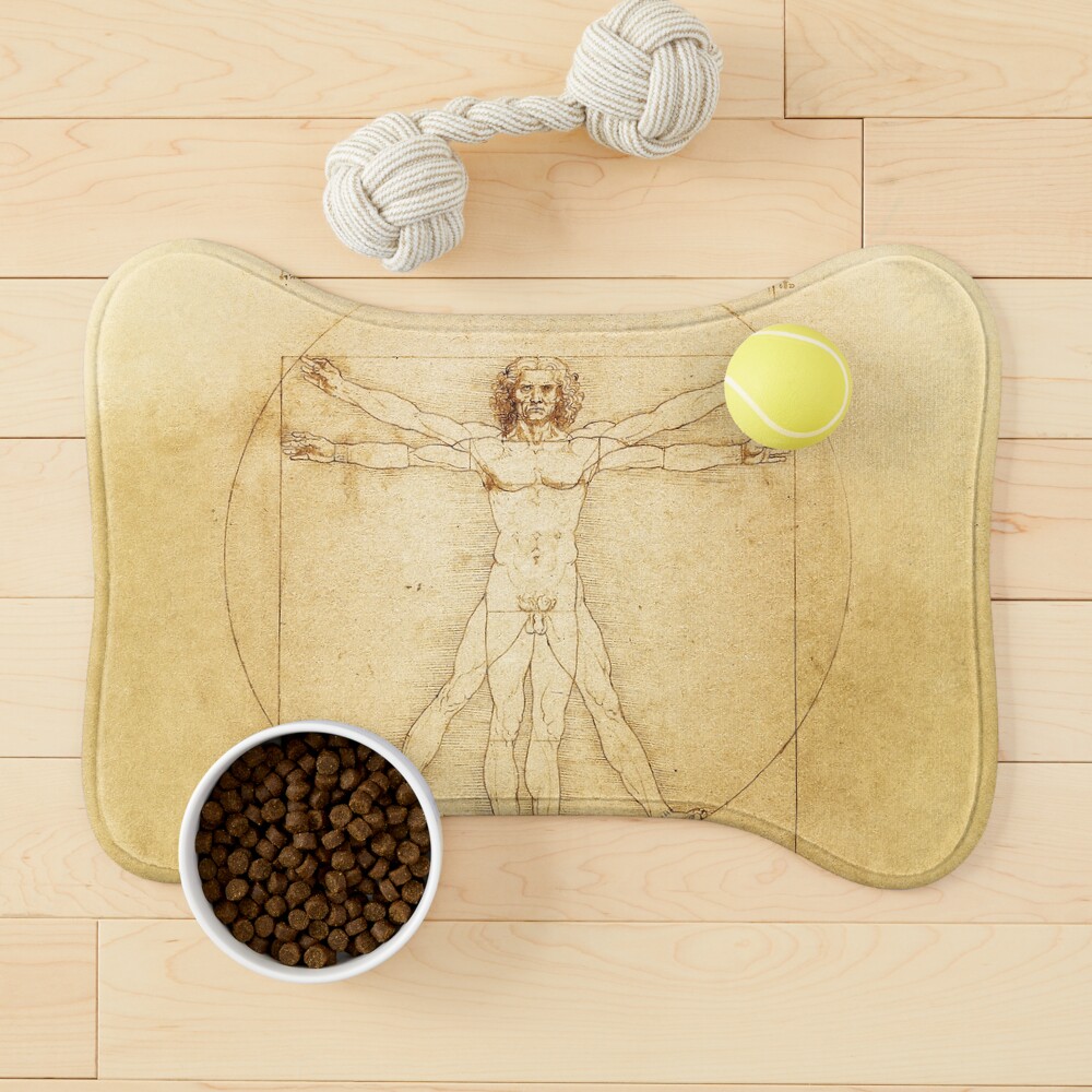 "Leonardo da Vinci Vintage sketch The Vitruvian Man The proportions of ...