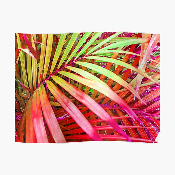 "Exotic Tropical Palm Leaves Tropicalcore Tropical Vacation Aesthetic 4 ...