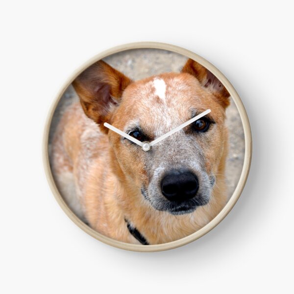 Uhren: Geretteter Hund | Redbubble