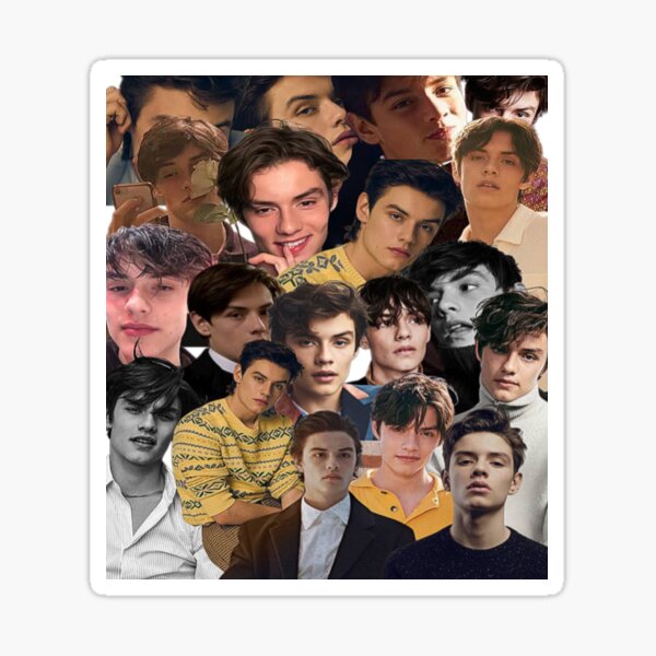 "louis partridge photo collage" Sticker for Sale by T-shirtakStore ...