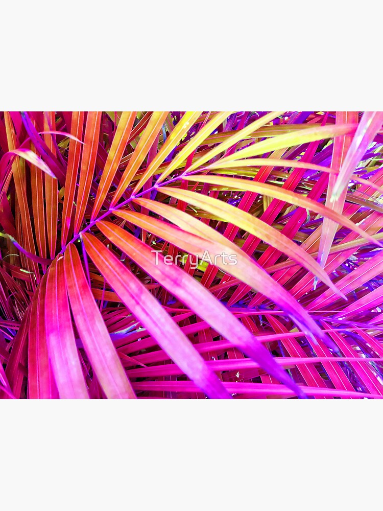 "Botanical Fun Tropical Palm Fronds Tropicalcore Beachy Vibes 1 of 4 ...
