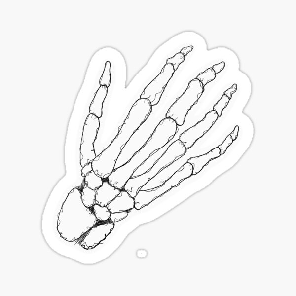 "Skeleton Hand" Sticker for Sale by Sierraaa23 | Redbubble