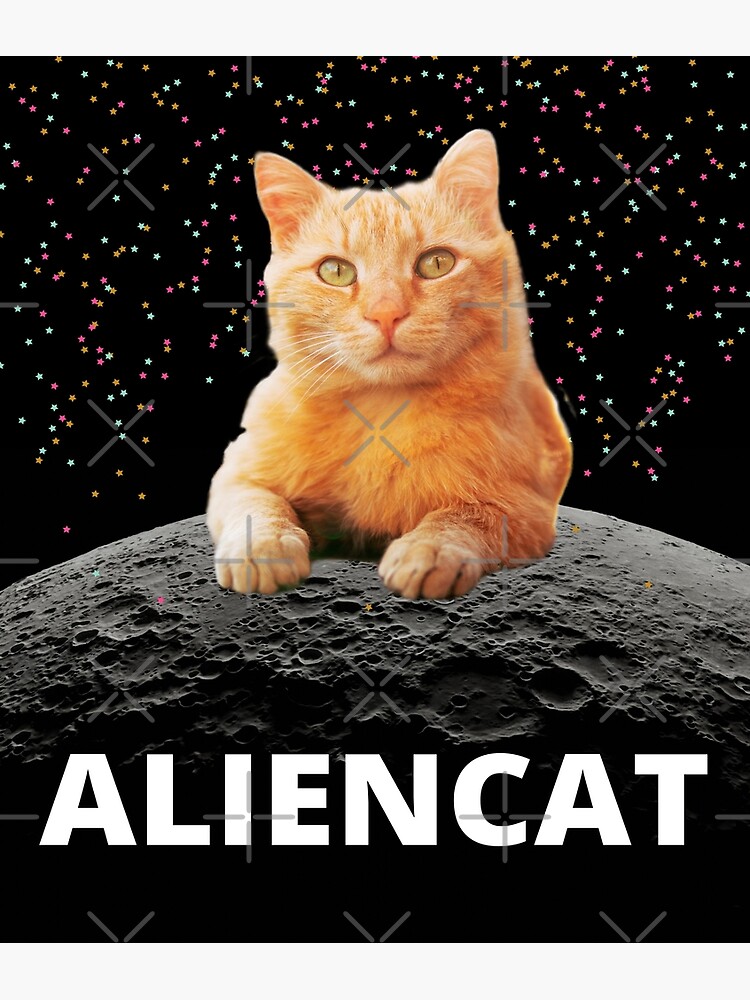 "Surreal photo with giant cat on the moon. Alien Cat. Giant surreal ...
