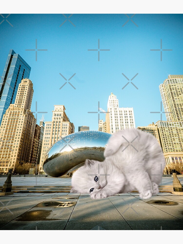"Surreal photos with giant cats in Chicago. Catzilla. Photoshop design ...