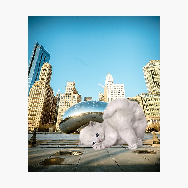"Surreal photos with giant cats in Chicago. Catzilla. Photoshop design ...