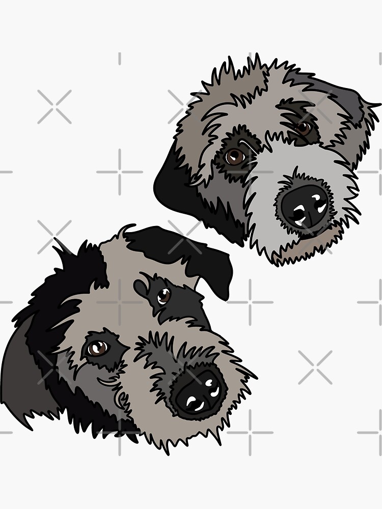 "Beau & Dixie the Labradoodles" Sticker for Sale by jamieelizabeth ...