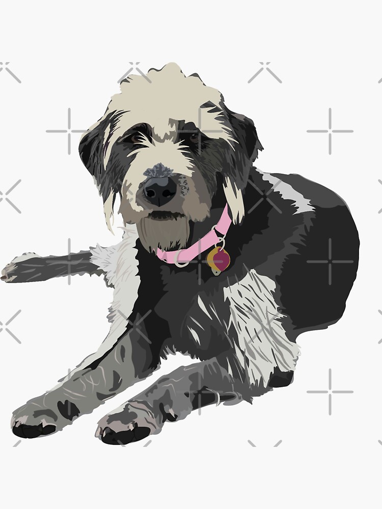 "Dixie the Labradoodle" Sticker for Sale by jamieelizabeth- | Redbubble