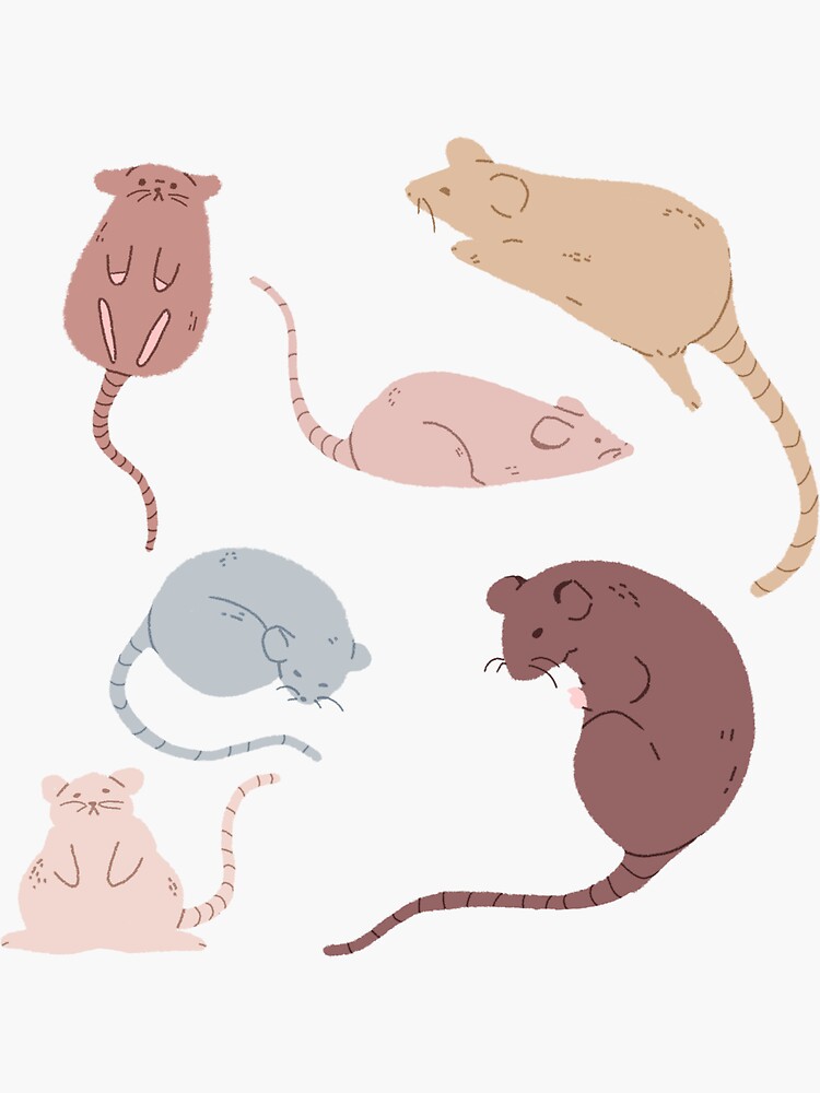"Rats" Sticker for Sale by starpigeon | Redbubble