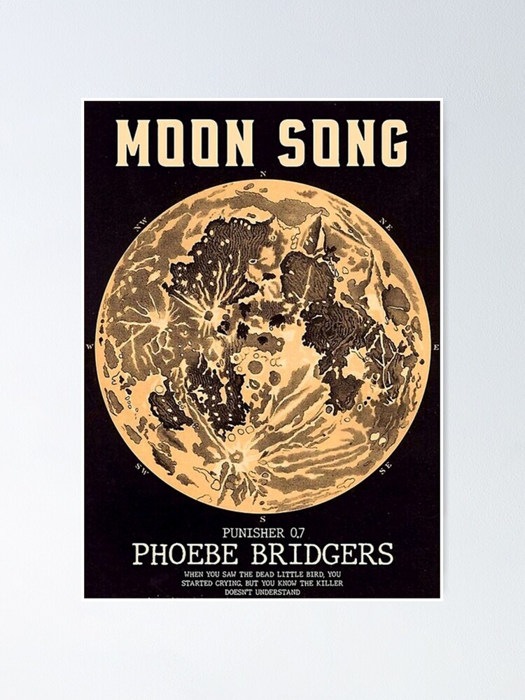 "phoebe moon song tour 2022" Poster for Sale by littabadex | Redbubble