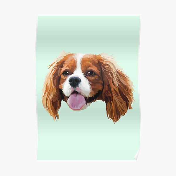 "Cavalier King Charles Spaniel" Poster for Sale by SarasaurusArt ...