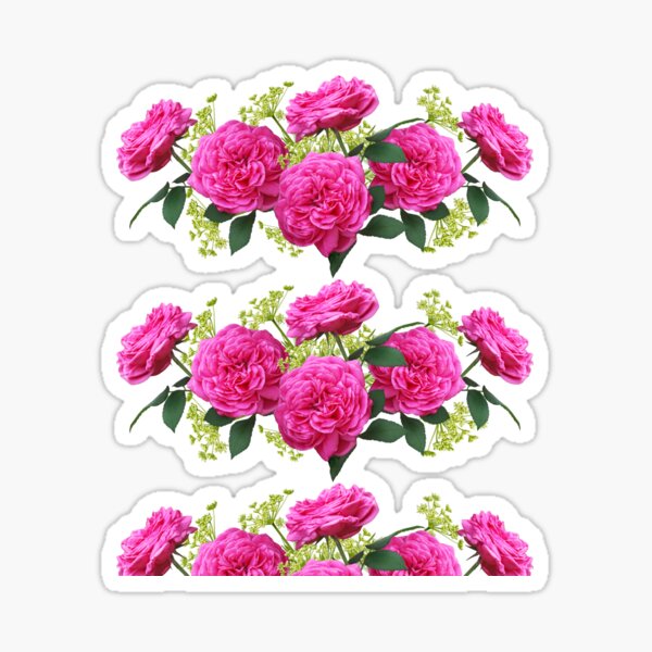 "Pink Roses" Sticker for Sale by CuteMaster | Redbubble