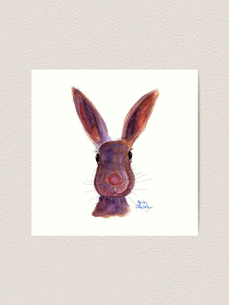 "Hare RaBBiT PRiNTS 'Samson' by Shirley MacArthur" Art Print for Sale ...