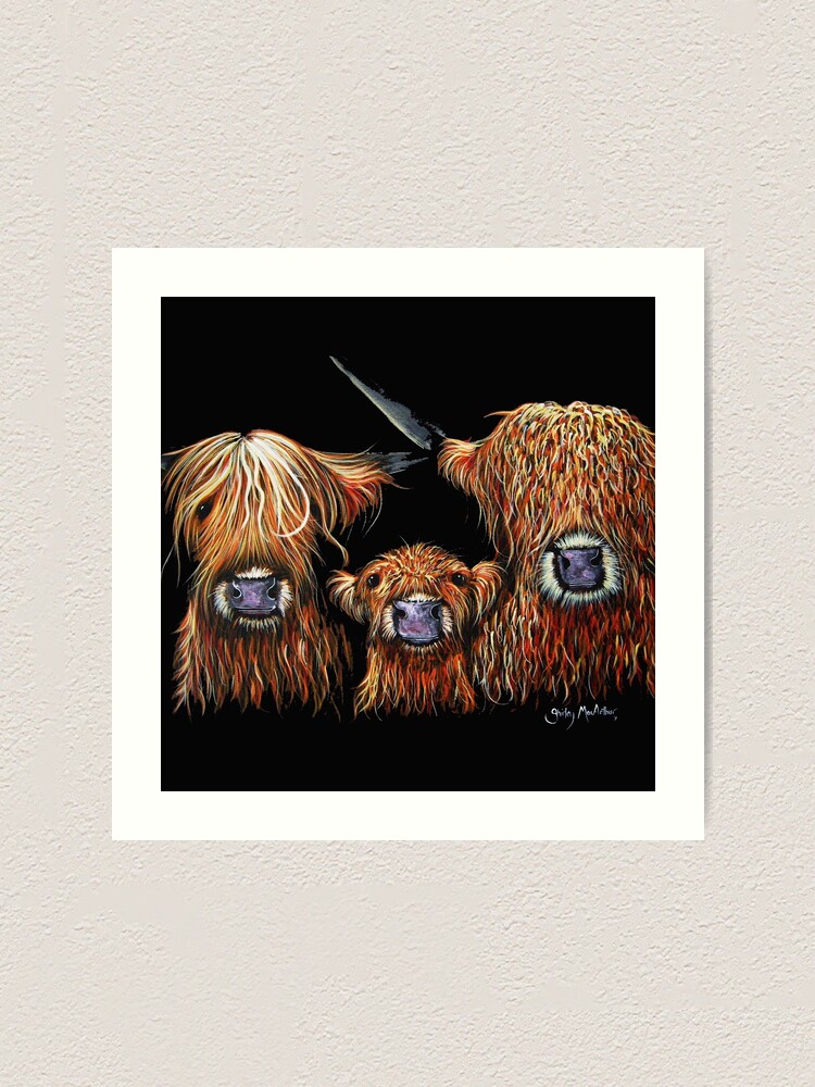 "Scottish Highland Cows 'WE 3 COOS on BLACK' by Shirley MacArthur" Art ...