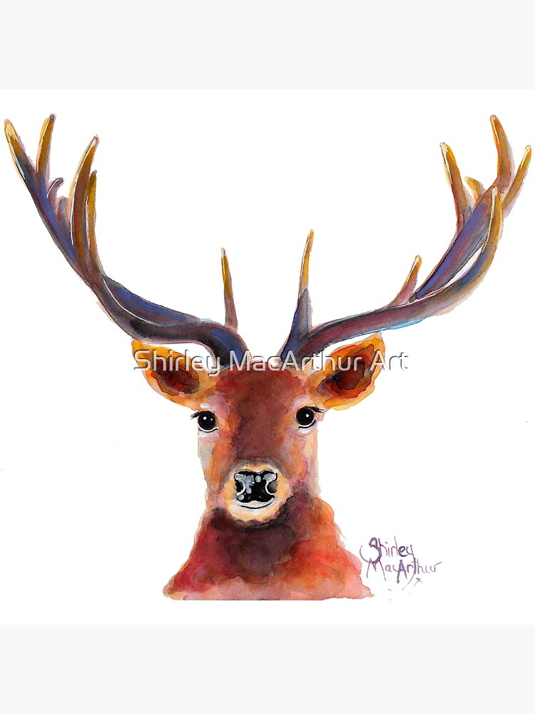 "The Red Stag by Shirley MacArthur" Art Print for Sale by ShirleyMacA ...