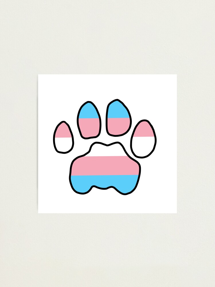 "Transgender, Trans Pride Flag Paw Print" Photographic Print for Sale ...