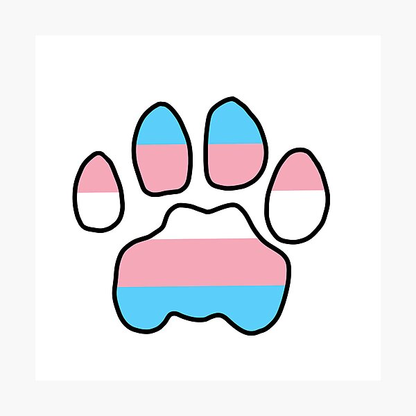"Transgender, Trans Pride Flag Paw Print" Photographic Print for Sale ...