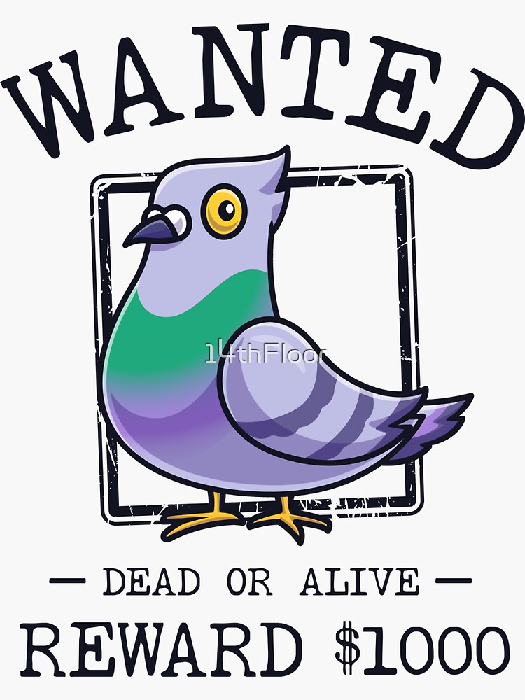 "Pigeon Wanted Poster Funny Pigeon Lover Bird Watcher Owner" Sticker ...