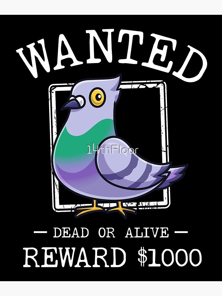 "Pigeon Wanted Poster Funny Pigeon Lover Bird Watcher Owner" Poster for ...