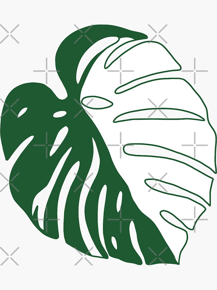 "Monstera Albo leaf" Sticker for Sale by LF-Designs- | Redbubble