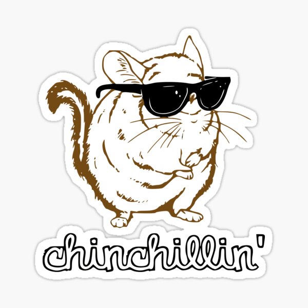 "Chinchillin" Sticker for Sale by StereotypicalTs | Redbubble