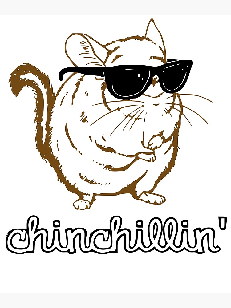 "Chinchillin" Poster for Sale by StereotypicalTs | Redbubble