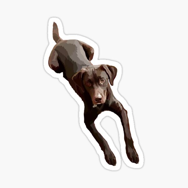 "Chocolate Lab" Sticker for Sale by KatsDogs | Redbubble