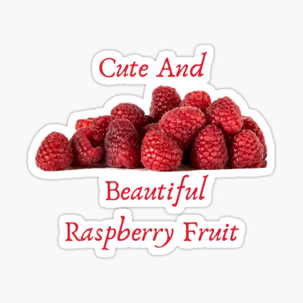 "Cute and Beautiful Raspberry Fruit " Sticker for Sale by KateEdenArt ...