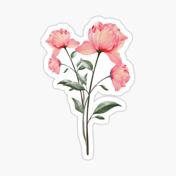 "pink peony watercolor flower " Sticker for Sale by Softlife | Redbubble