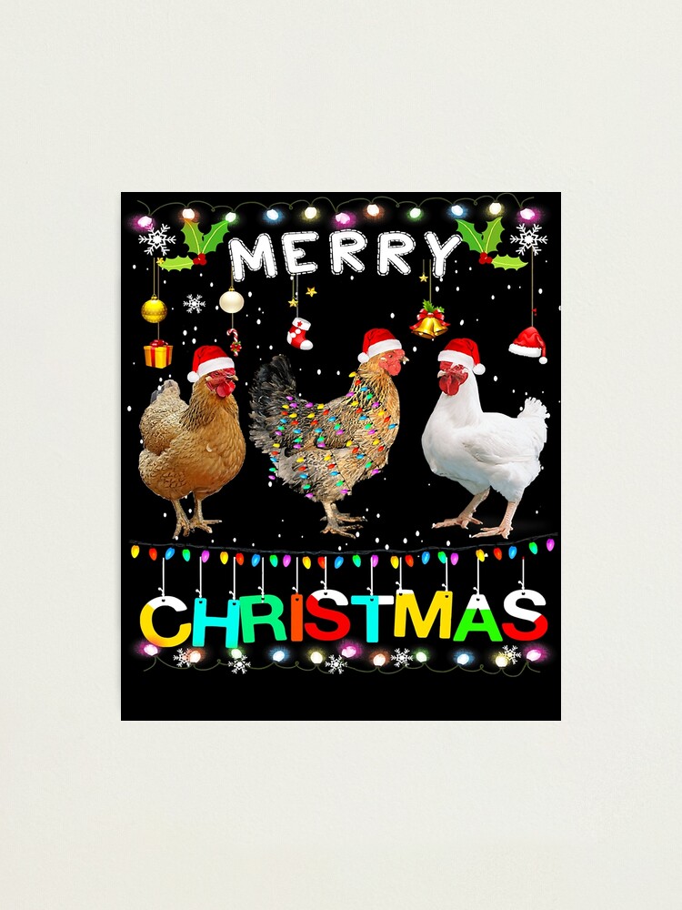 Lámina fotográfica «Pollo Feliz Navidad Pollo Papá Noel Luces Navidad ...