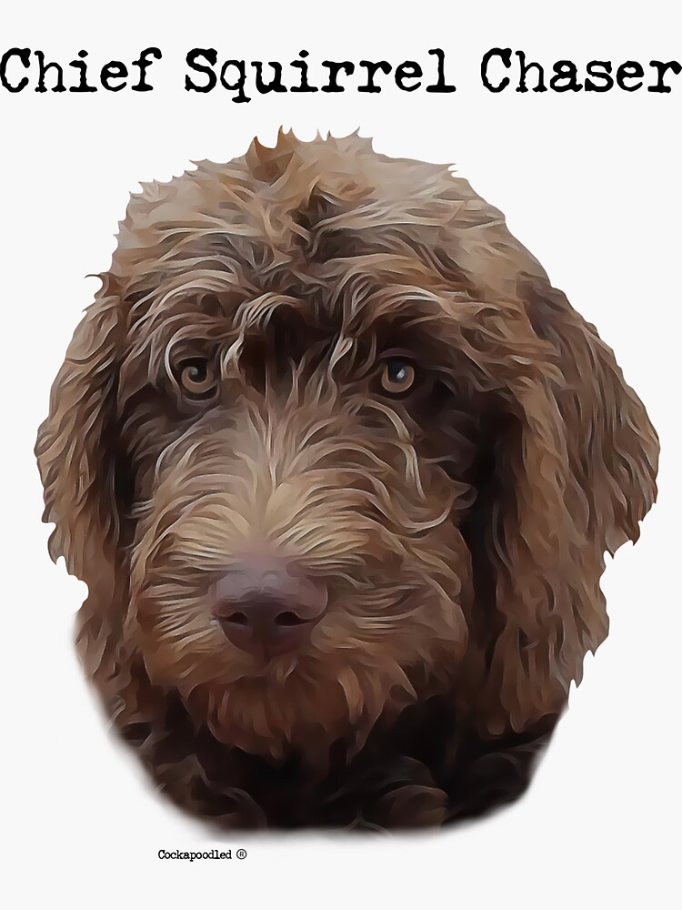 "Doodle Dogs Chief Squirrel Chaser " Sticker for Sale by cockapoodled ...