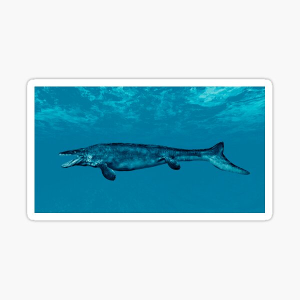 "Mosasaurus hoffmanni" Sticker for Sale by TurcoFede | Redbubble