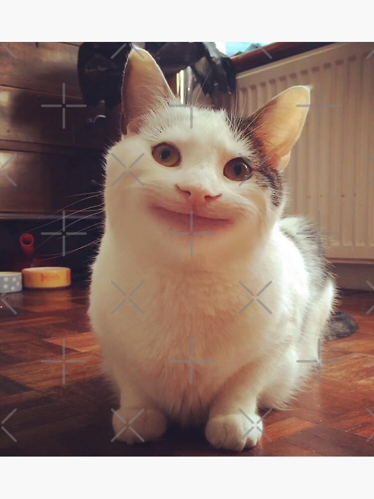 "Funny cat face" Sticker for Sale by rakesh-sharma-1 | Redbubble