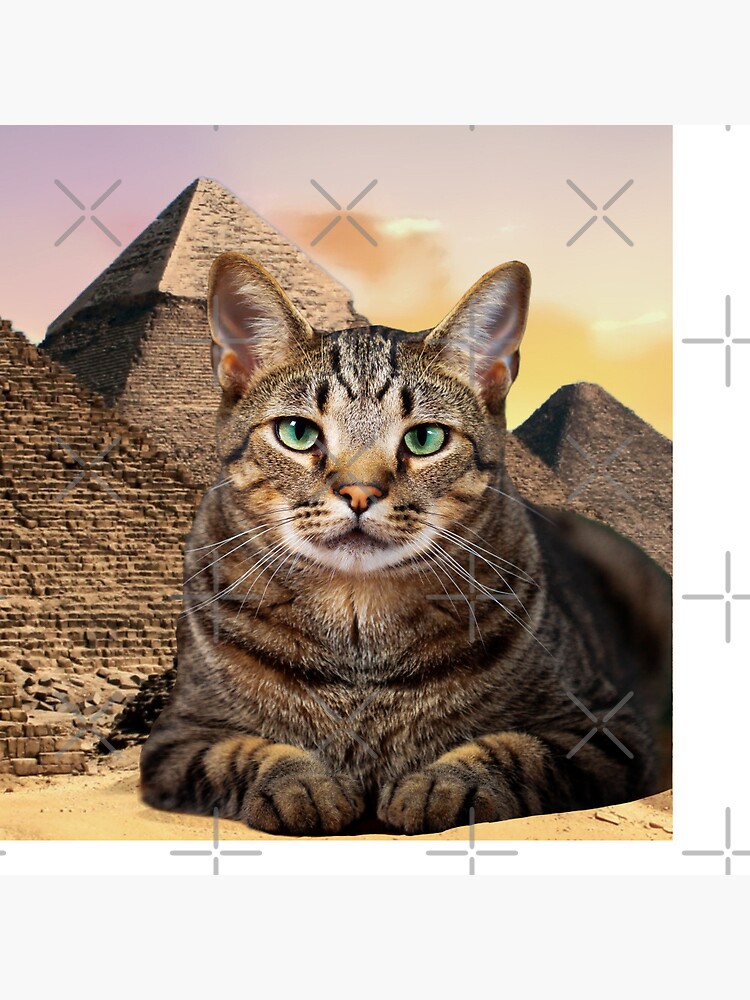 "Surreal photos with giant cats in the Pyramids of Giza. Catzilla ...