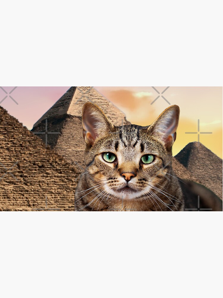 "Surreal photos with giant cats in the Pyramids of Giza. Catzilla ...