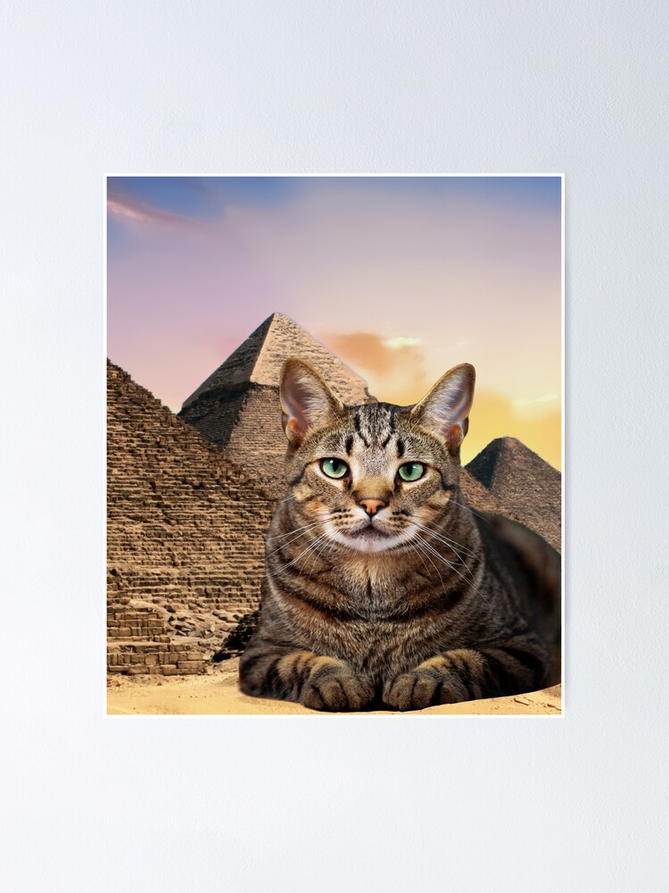"Surreal photos with giant cats in the Pyramids of Giza. Catzilla ...