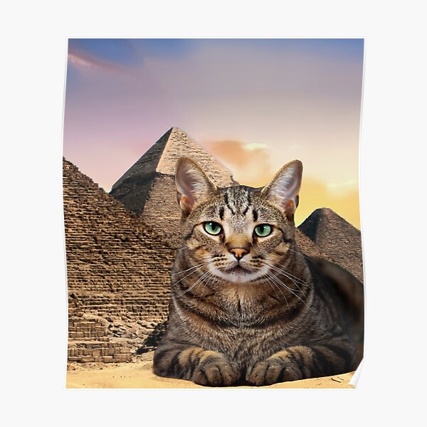 "Surreal photos with giant cats in the Pyramids of Giza. Catzilla ...