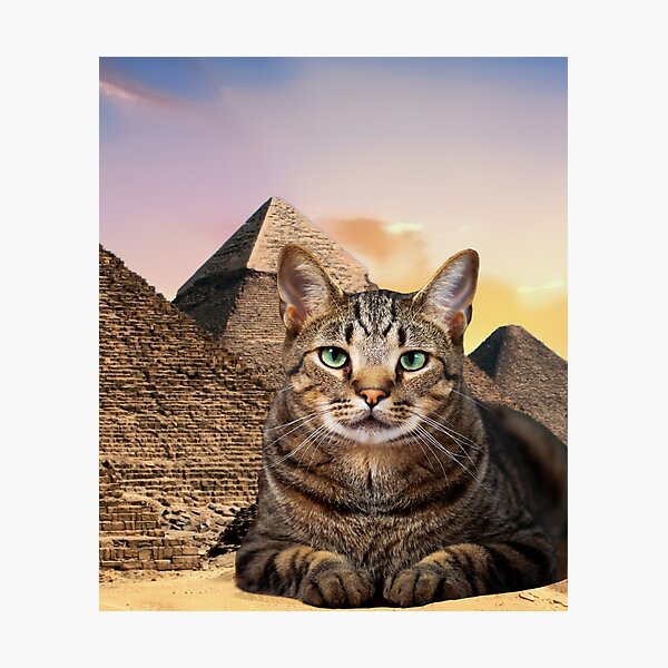 "Surreal photos with giant cats in the Pyramids of Giza. Catzilla ...