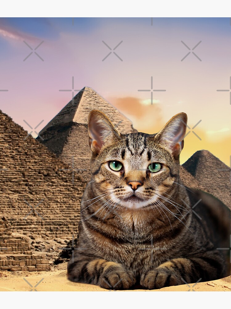 "Surreal photos with giant cats in the Pyramids of Giza. Catzilla ...